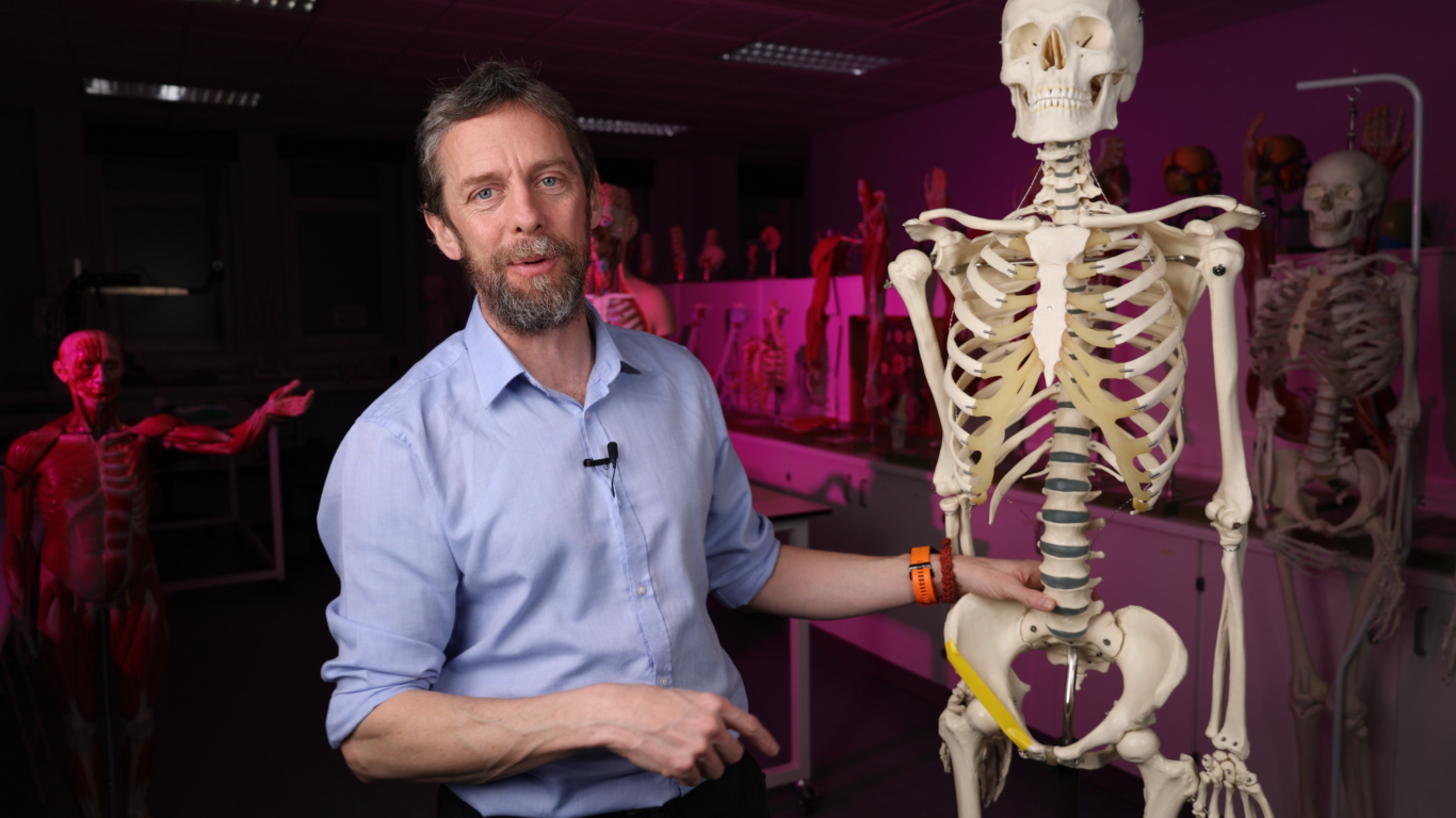 samwebster.net – Your body is your vehicle through life.