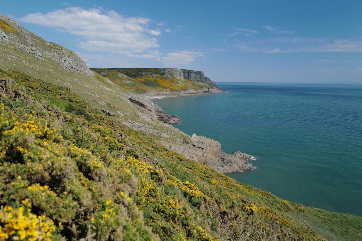 samwebster.net – Your body is your vehicle through life.