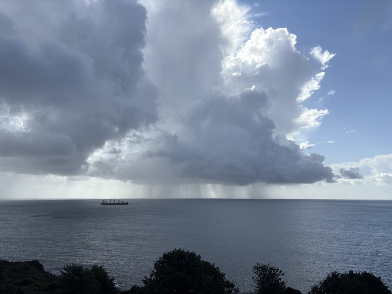 samwebster.net – Your body is your vehicle through life.